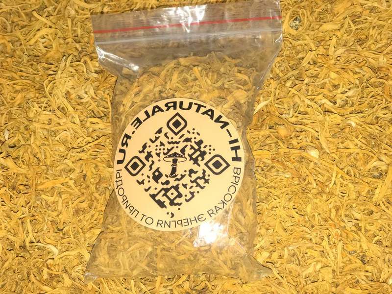 Кордицепс однобокий - лавка целебных растений
